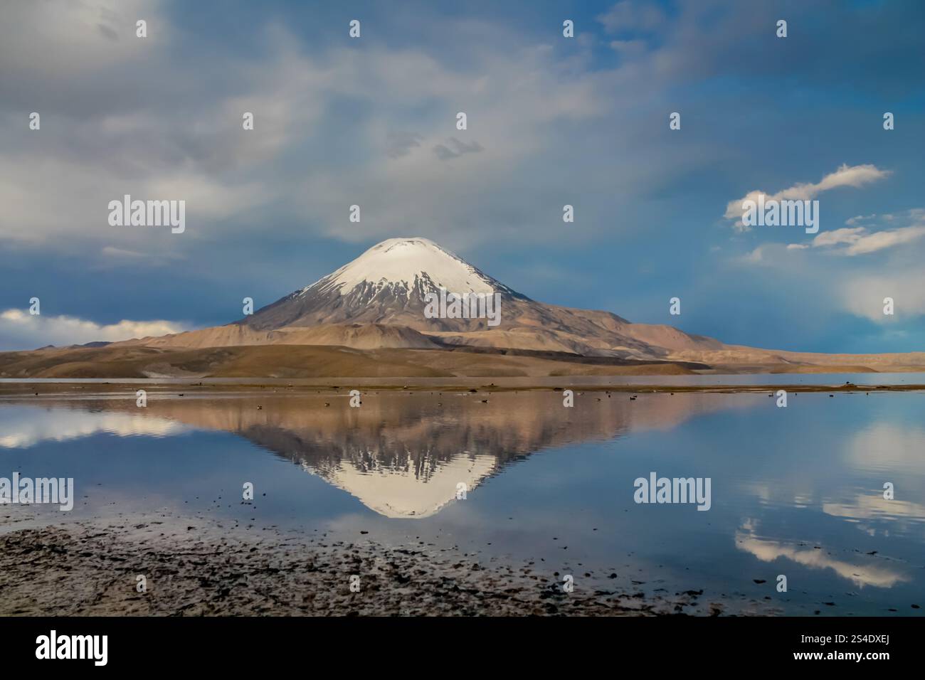 Scenic volcano landscape in Chile. Volcano Parinacota in Arica y ...