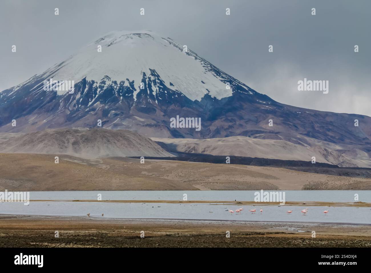 Scenic volcano landscape in Chile. Volcano Parinacota in Arica y ...