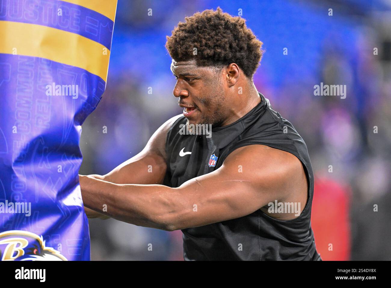 Darnell washington ravens hi-res stock photography and images - Alamy