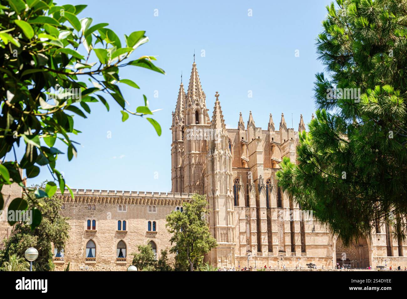 Palma de Mallorca Balearic Islands Spain,La Seu Gothic architecture ...