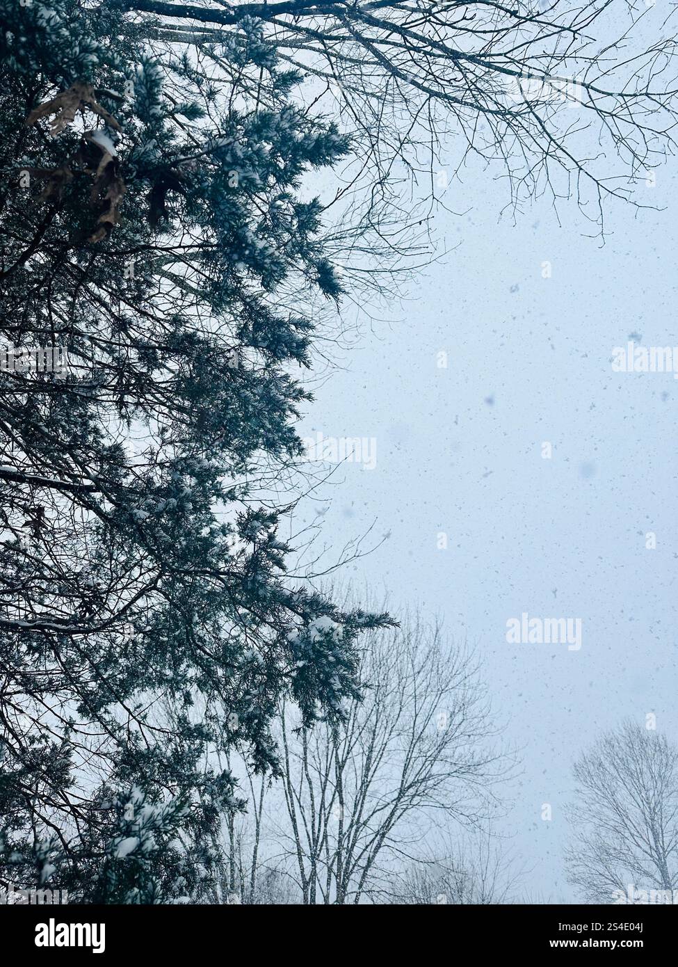 2025 snow storm hi-res stock photography and images - Alamy