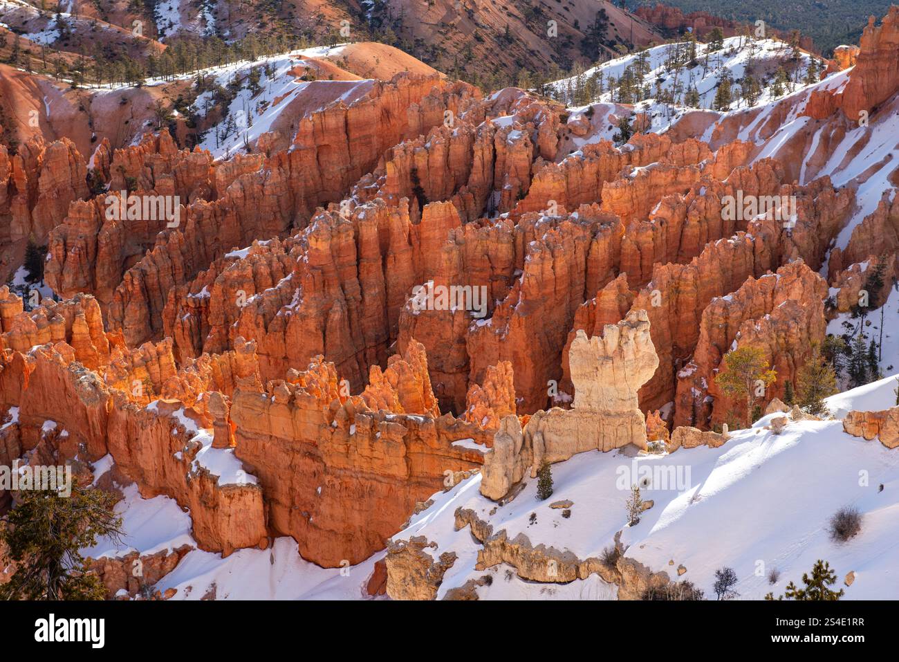 Hoodoos, thin pillars of sandstone and fine sedimentary rocks formed by ...