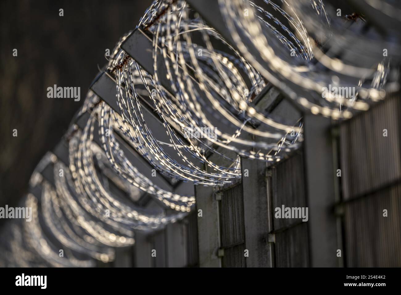 Symbolic image security, S-wire rolls, NATO wire, on a fence top ...