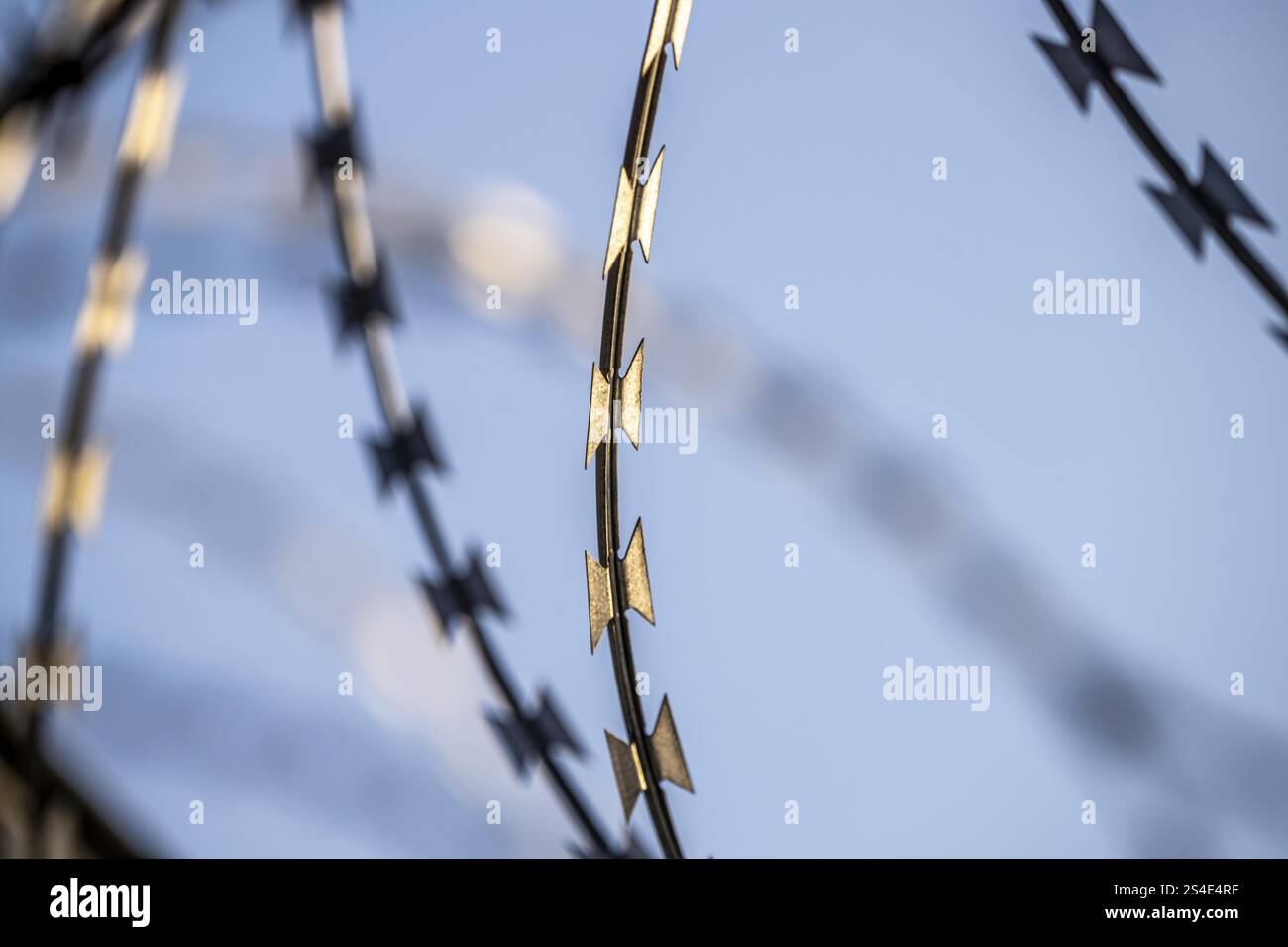 Symbolic image security, S-wire rolls, NATO wire, on a fence top ...