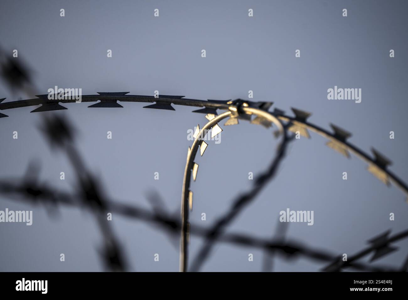 Symbolic image security, S-wire rolls, NATO wire, on a fence top ...