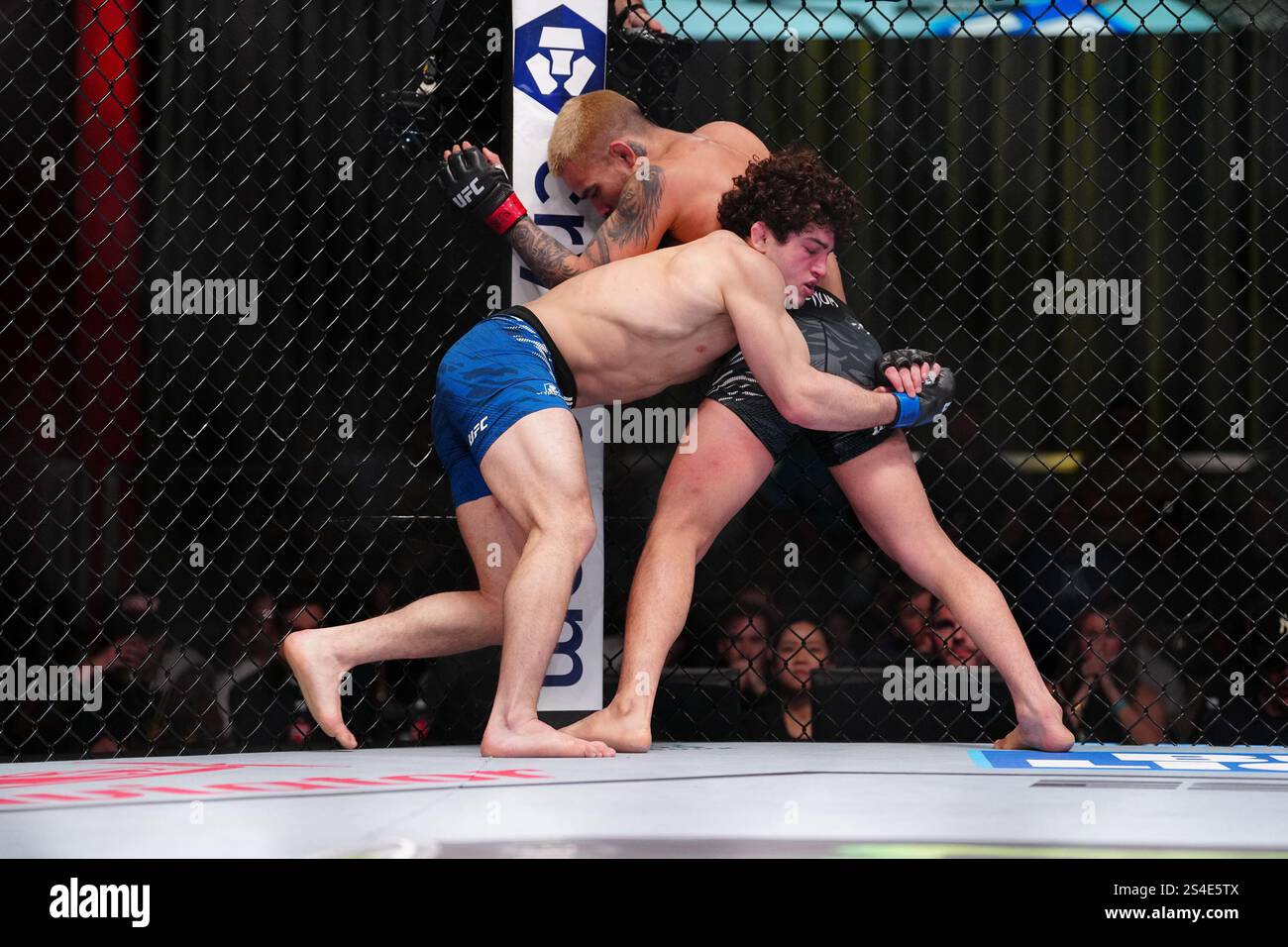 January 11, 2025, Las Vegas, Nv, Las Vegas, Nv, United States ...