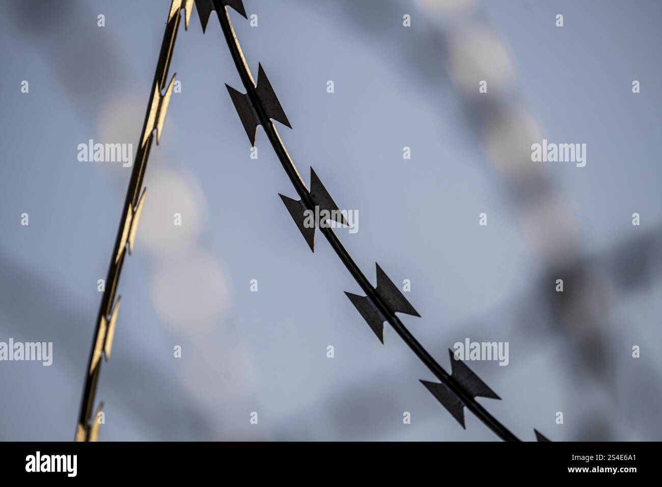 Symbolic image security, S-wire rolls, NATO wire, on a fence top ...