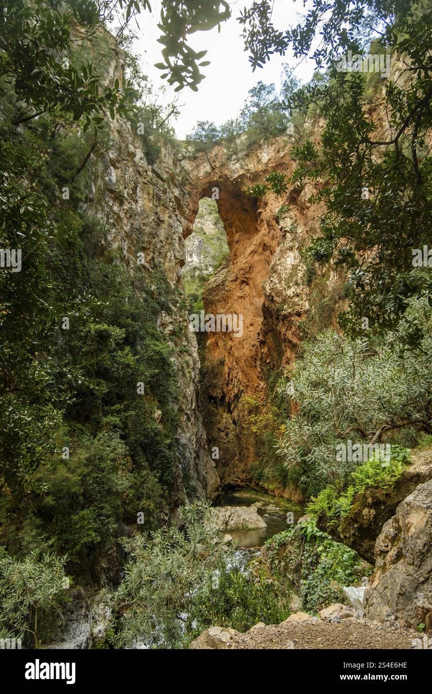 God's Bridge in Akchour Waterfalls, Morocco, Africa Stock Photo - Alamy