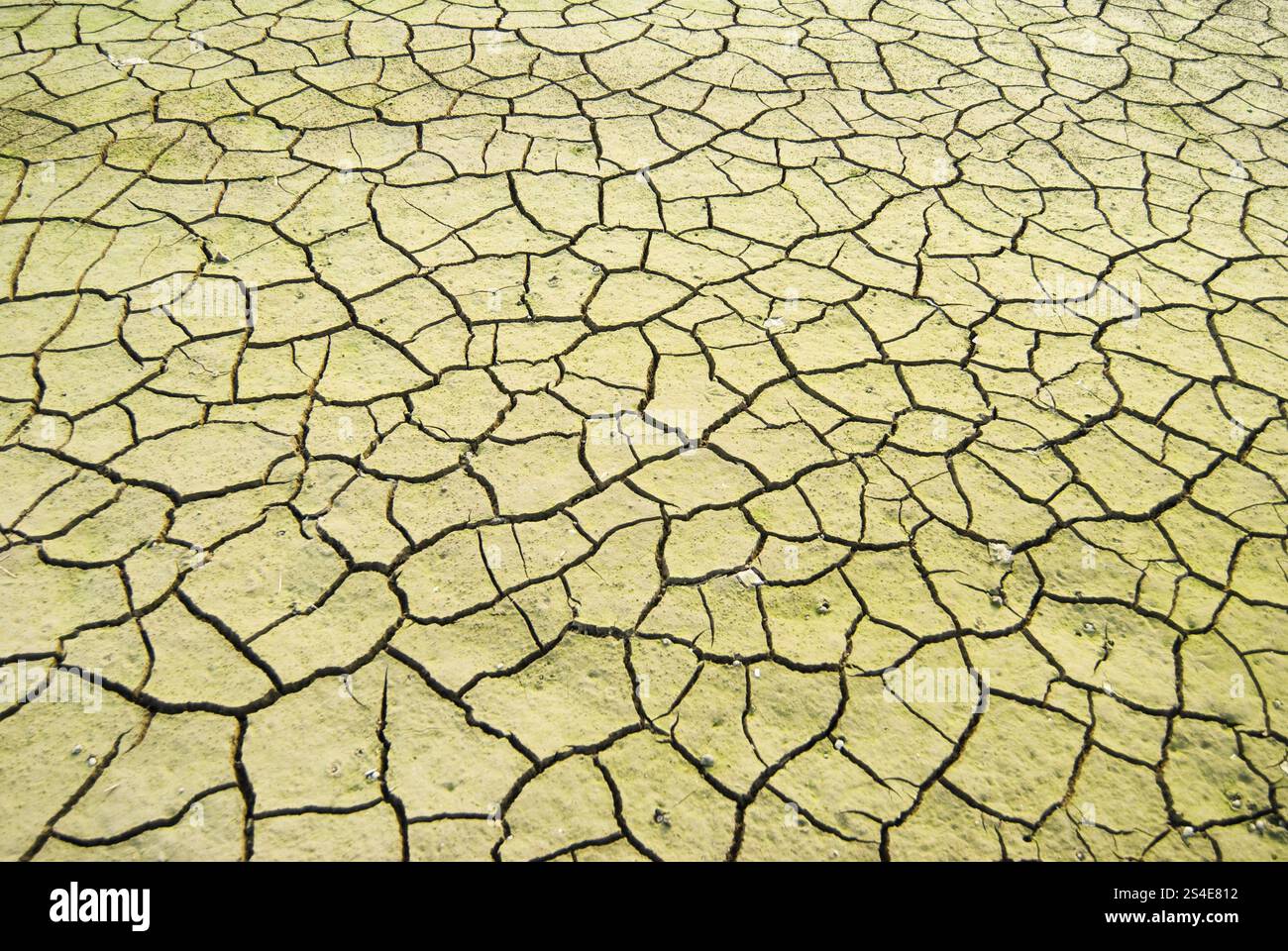 Drought land was cracked. The lake is drying Stock Photo - Alamy