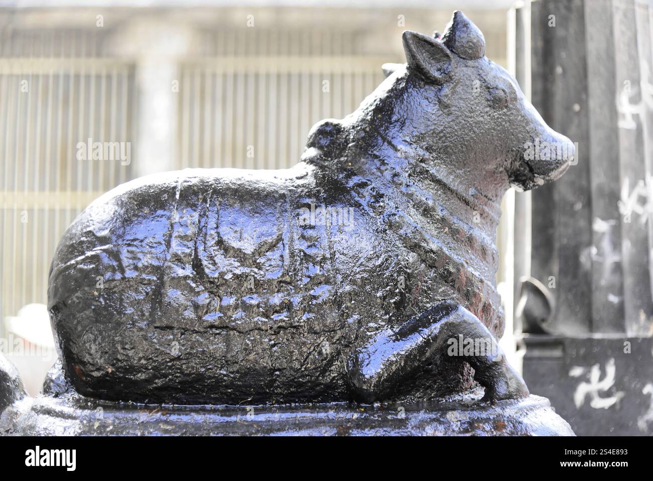 Kanchipuram, Tamil Nadu, South India, India, Side view of a stone Nandi ...