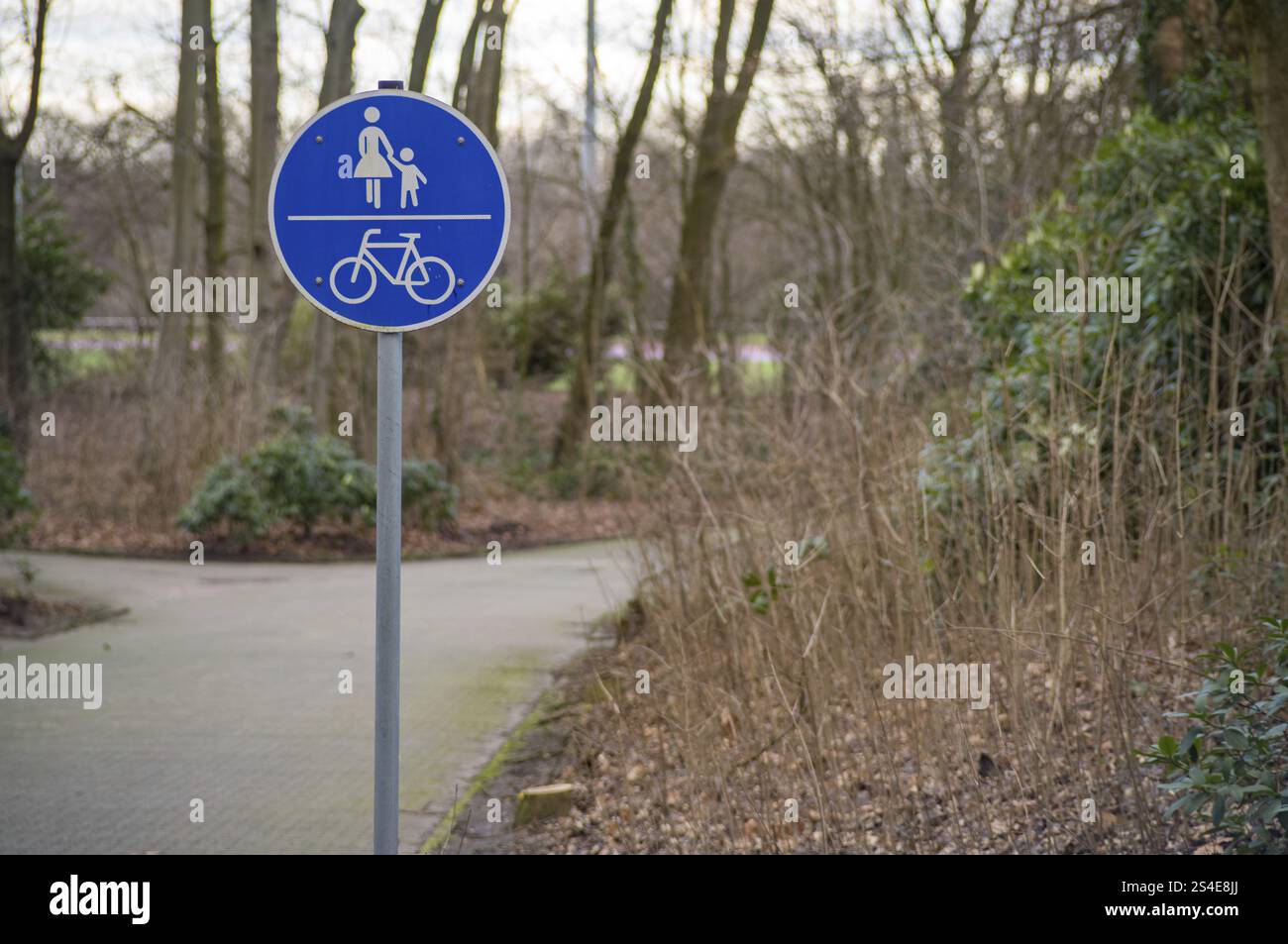 Round blue and white shared use path sign for pedestrians and cyclists ...