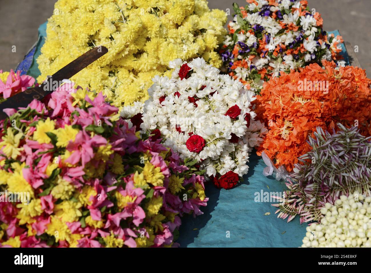 Kanchipuram, Tamil Nadu, South India, Variety of colourful flowers in ...