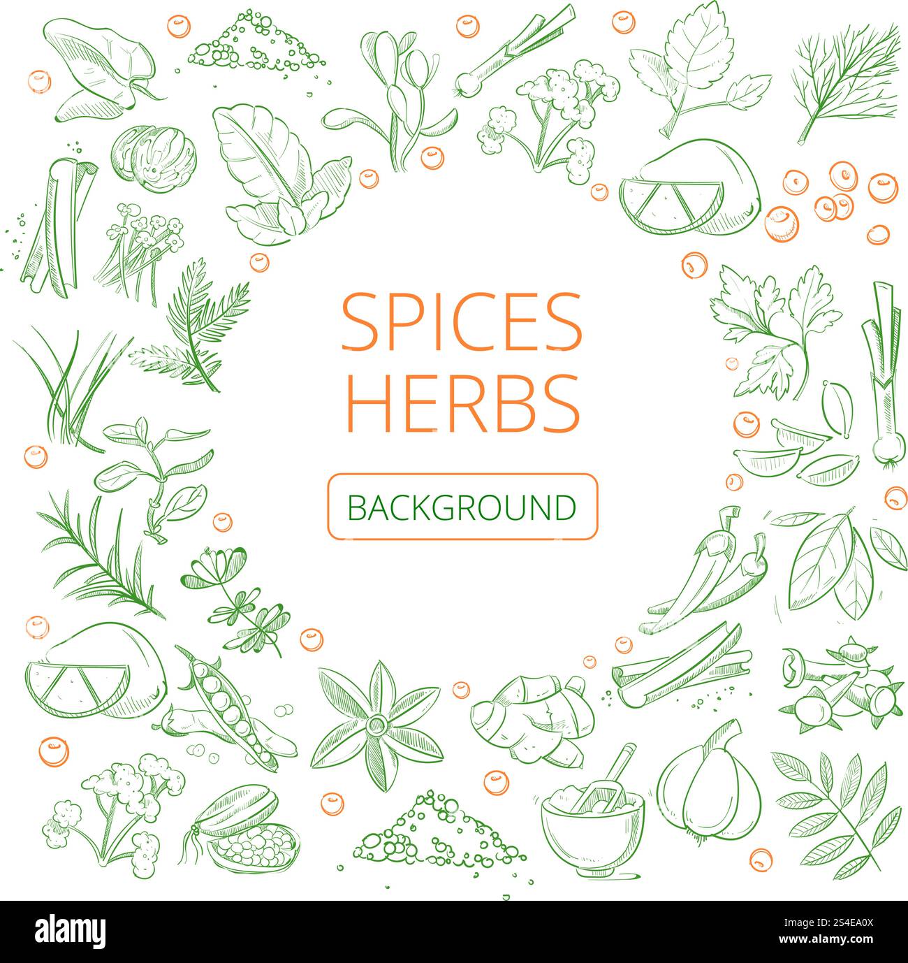 Hand drawn herbs and spices vector healthy natural plants background ...