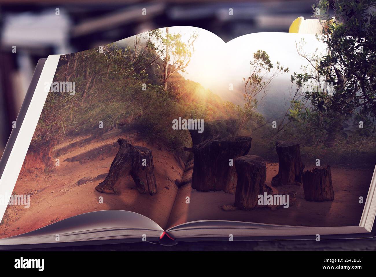 The Stunning Beauty of Nature Captured Perfectly in an Impressive Open ...