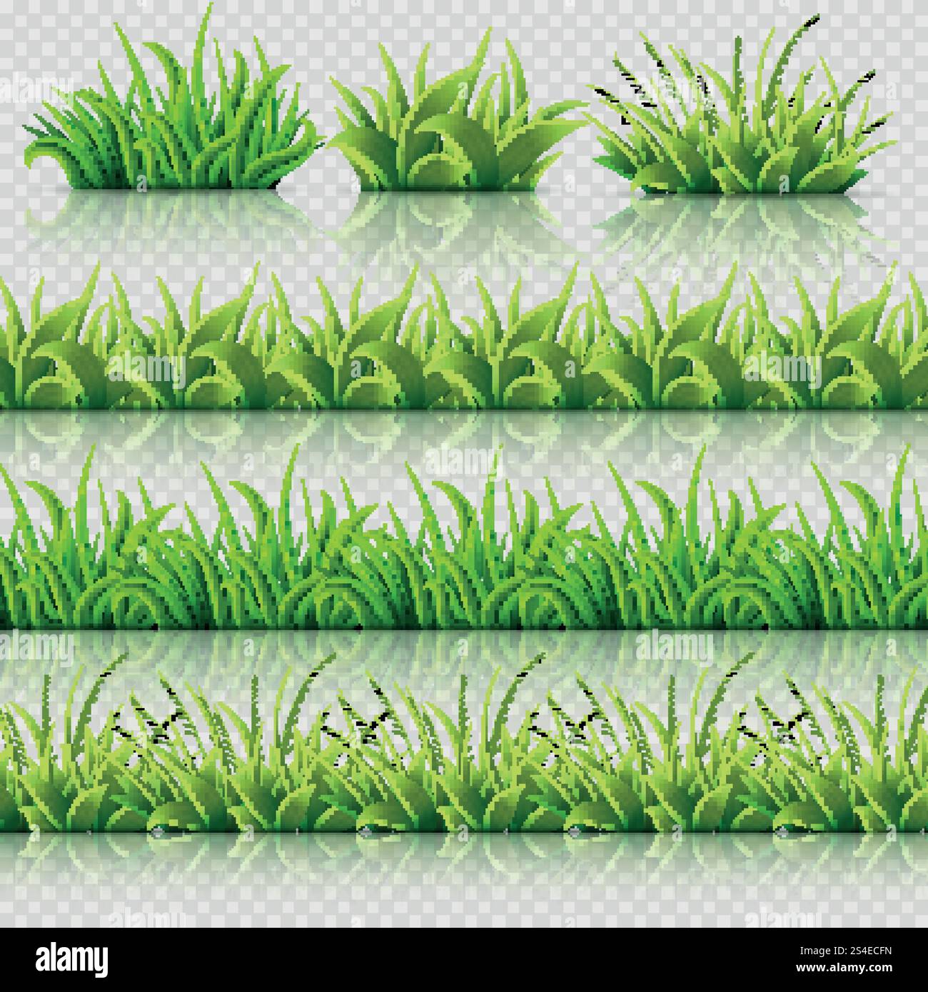 Green grass vector seamless borders set. Grass border nature ...