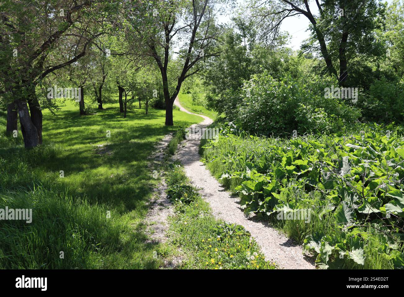 Footpath between rocks overgrown hi-res stock photography and images ...
