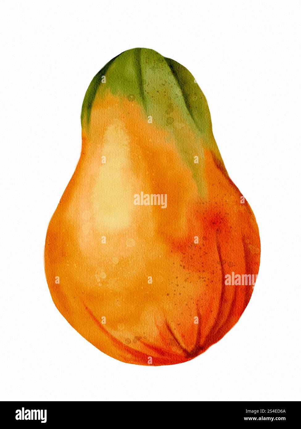 A vibrant watercolor illustration showcasing a beautifully shaped pear ...