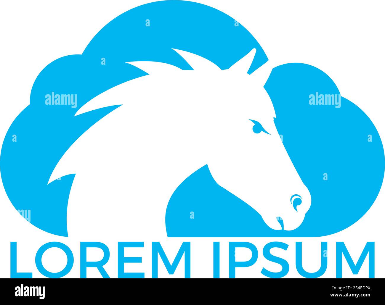 Equine horse jockey race rider win Cut Out Stock Images & Pictures - Alamy