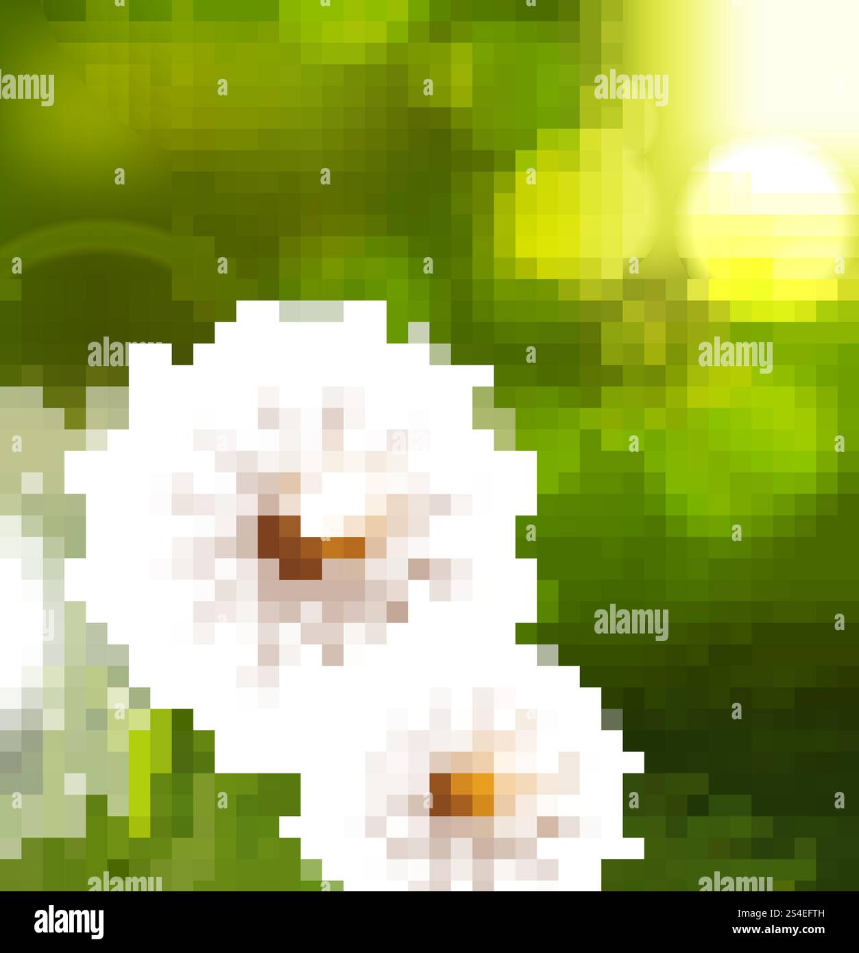 Dandelion field vector spring conceptual background. Realistic ...