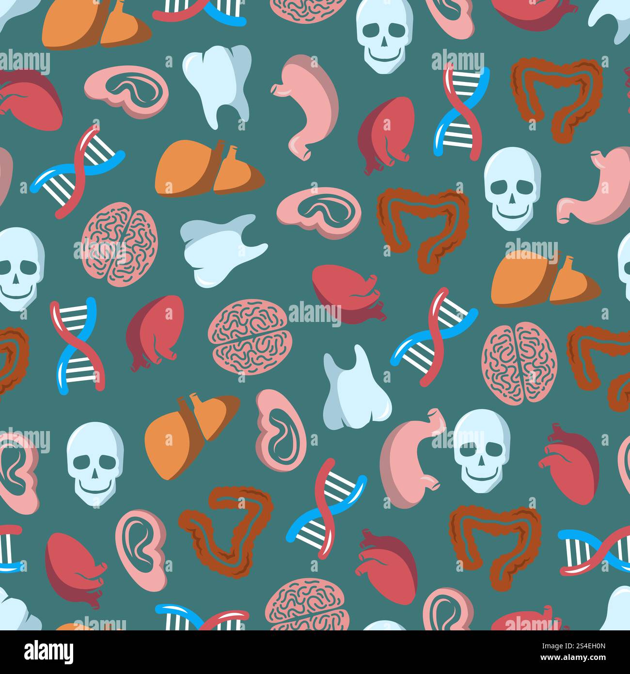 Internal human organs seamless pattern. Anatomy biology medicine ...