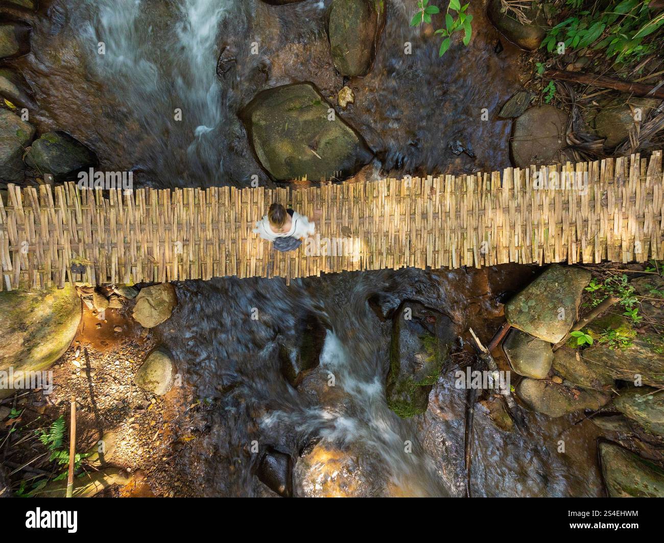 A young woman walks across the small bamboo bridge in the jungle of ...