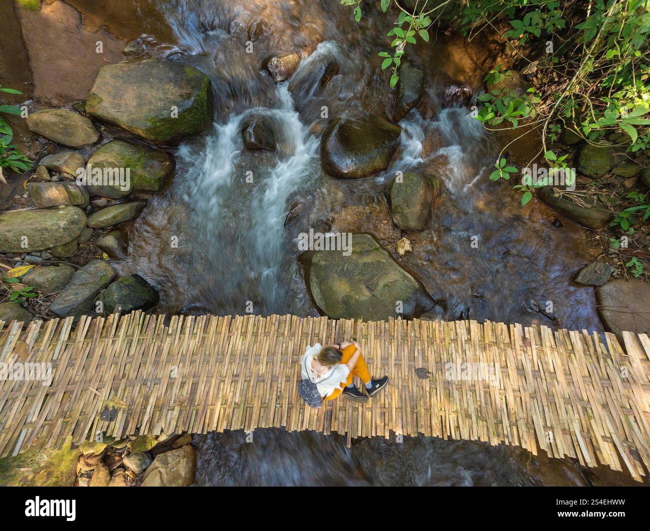 A young woman walks across the small bamboo bridge in the jungle of ...