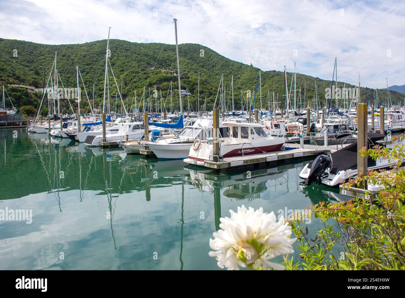Waikawa Marina, Waikawa Bay, Waikawa, Picton (Waitohi), Marlborough ...