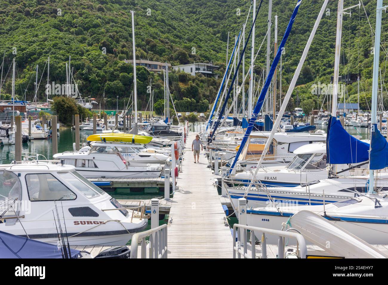 Waikawa bay boats yachts mooring marina marinas bays native bush hi-res ...