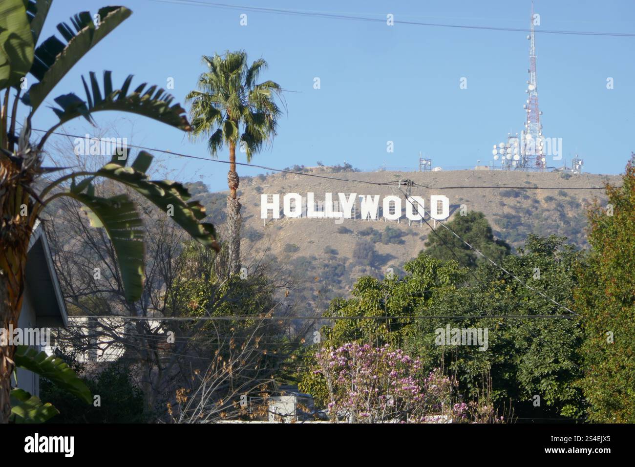 Los Angeles, California, USA 11th January 2025 Hollywood Sign during LA ...