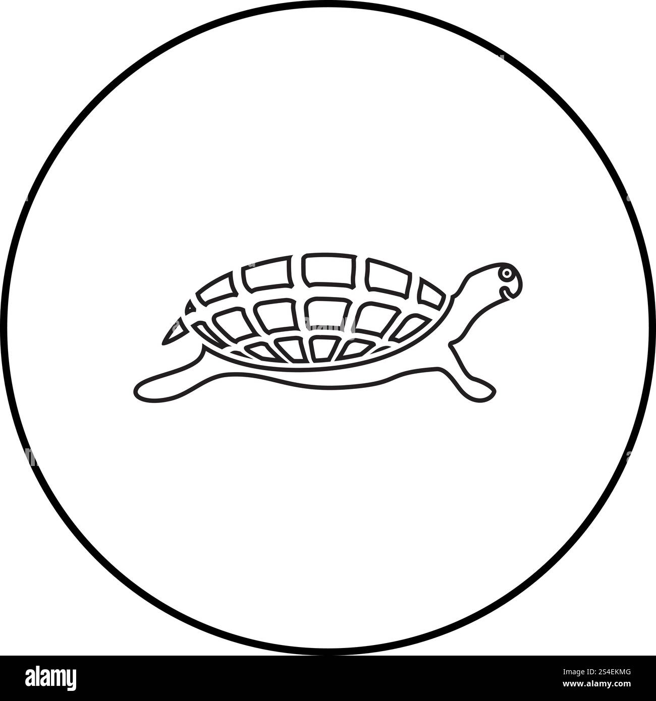 Turtle tortoise icon black color outline vector illustration flat style ...