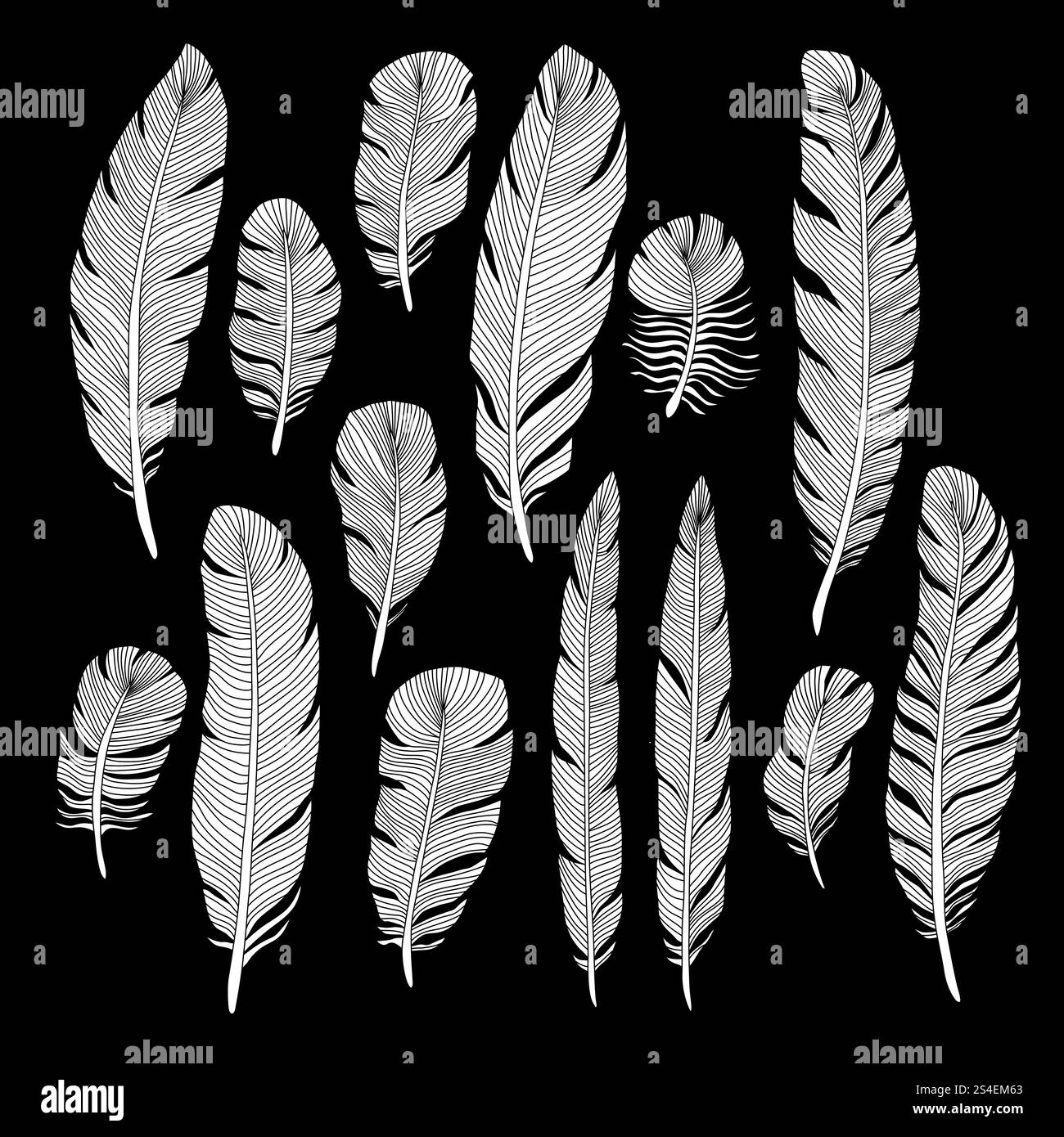 Sketch hand drawn birds feathers vector set. Sketch of feather bird ...