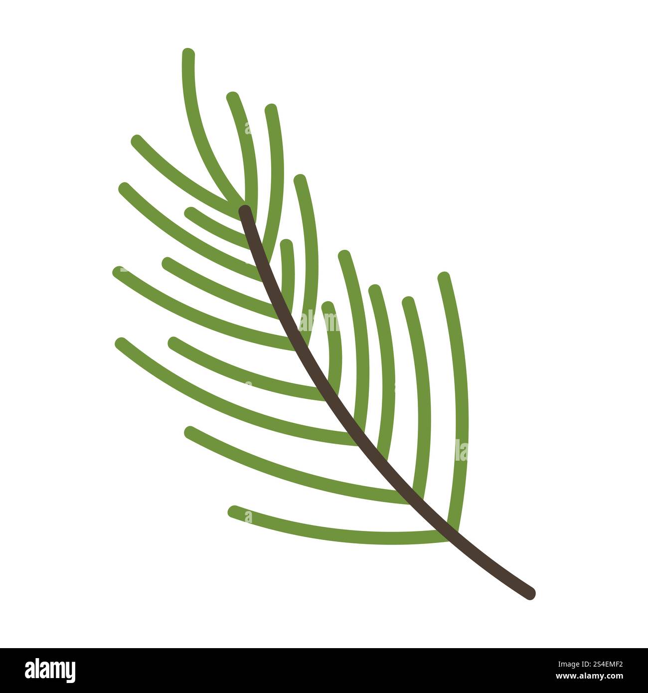 Fir tree branch in winter Stock Vector Images - Alamy