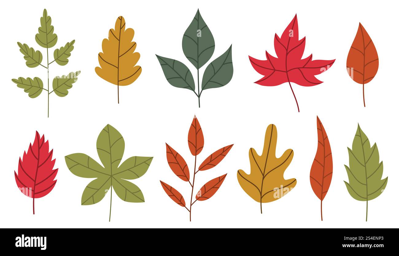 Cute cartoon autumn leaves collection. Cozy fall leaf set. Autumn tree ...