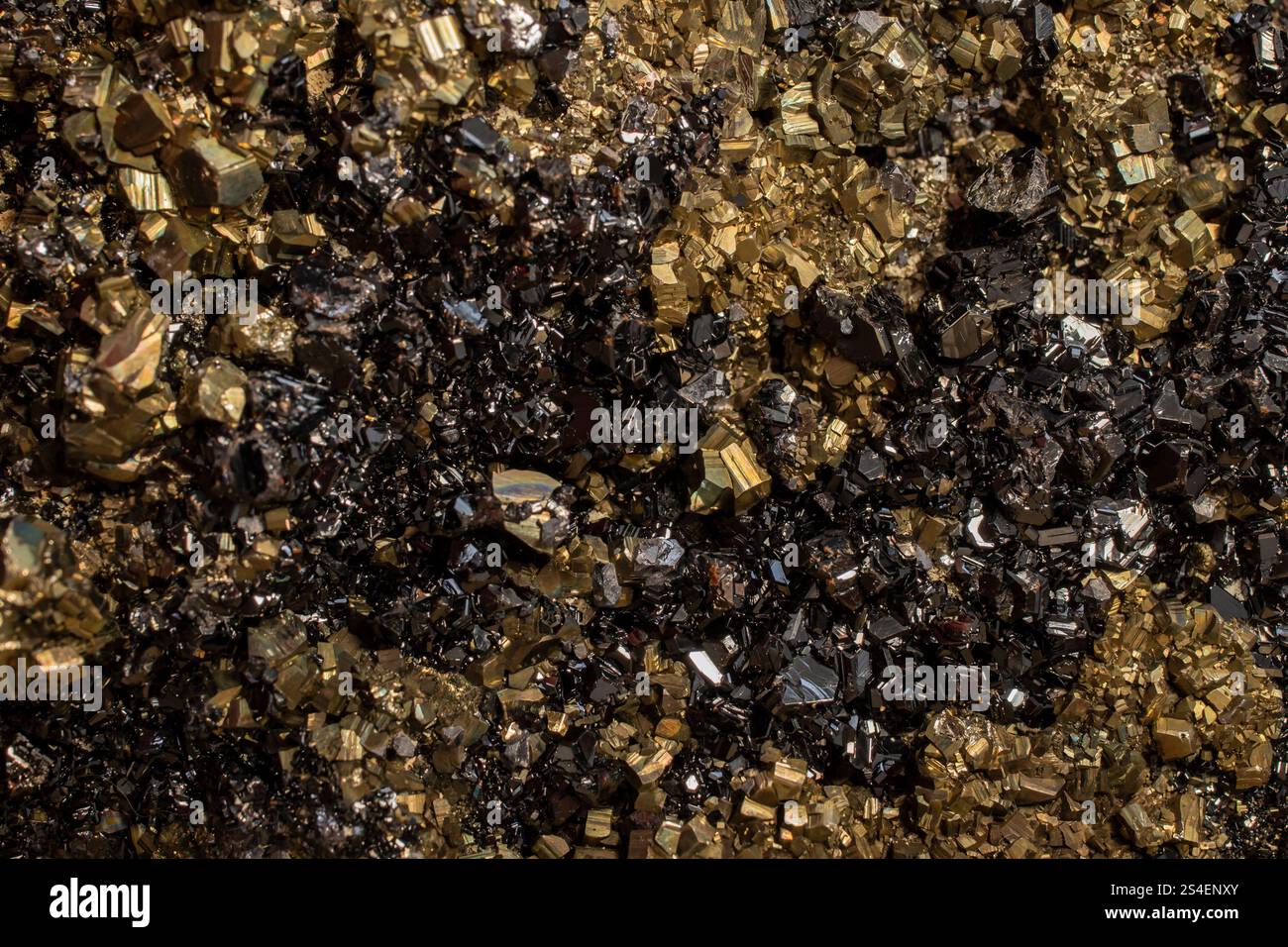 Pyrite mineral flower black and golden color soft focus close up ...