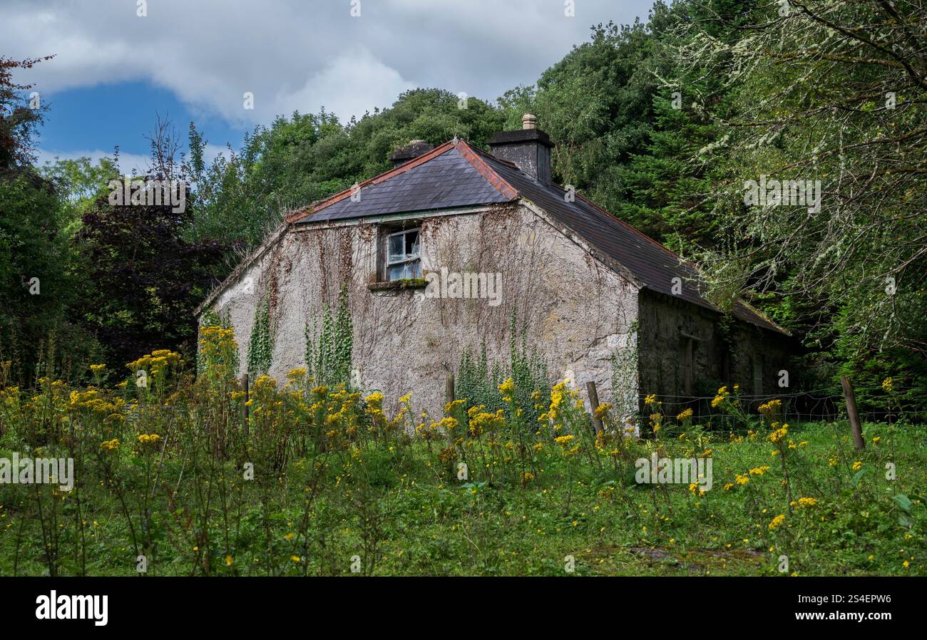 An old farmhouse in the forest Cong, Ireland, with a pitched roof ...