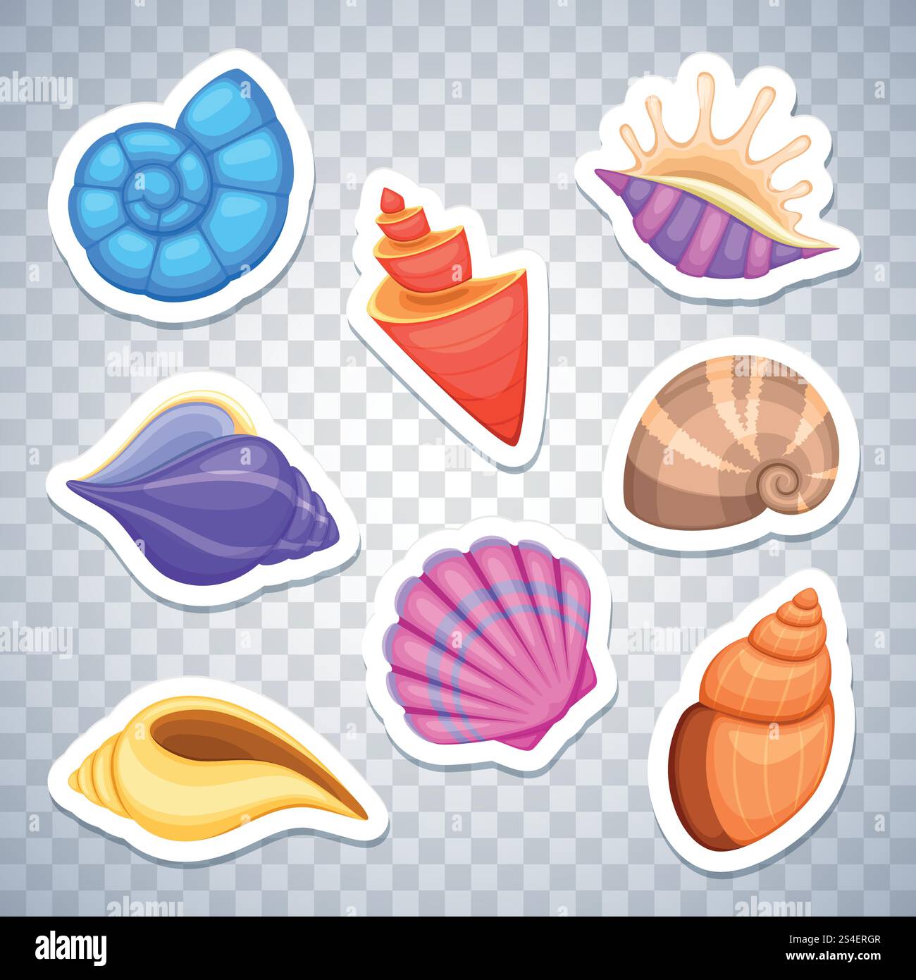 Sea shells stickers vector set. Colored cockleshell sea, illustration ...