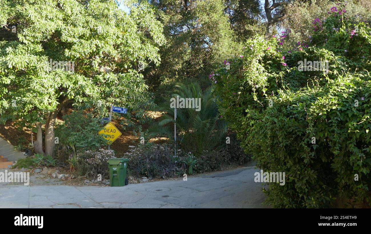 Los Angeles, California, USA 11th January 2025 Actor Larry Drake Former ...