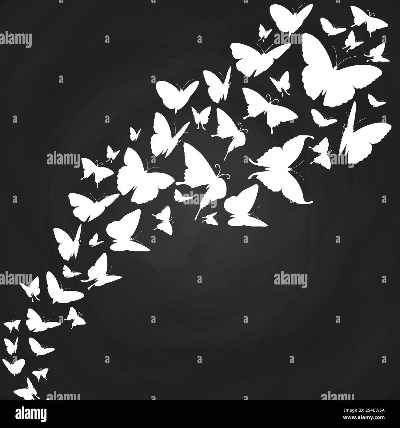 White butterflies silhouettes on chalkboard. Drawing white on ...
