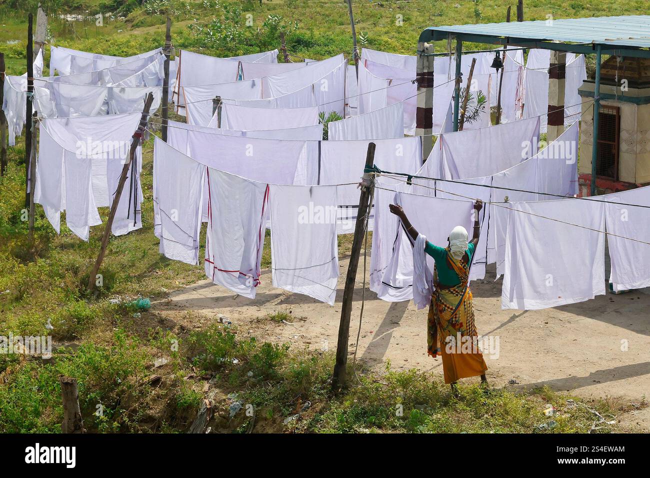 A dhobi wallah hangs out laundry to dry in the sun, in Madurai, Tamil ...