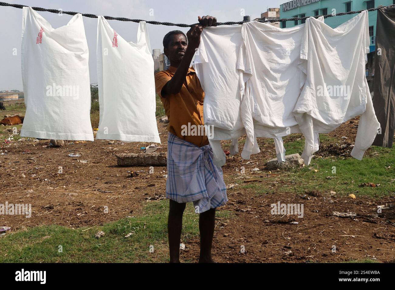 A dhobi wallah hangs out laundry to dry in the sun, in Madurai, Tamil ...