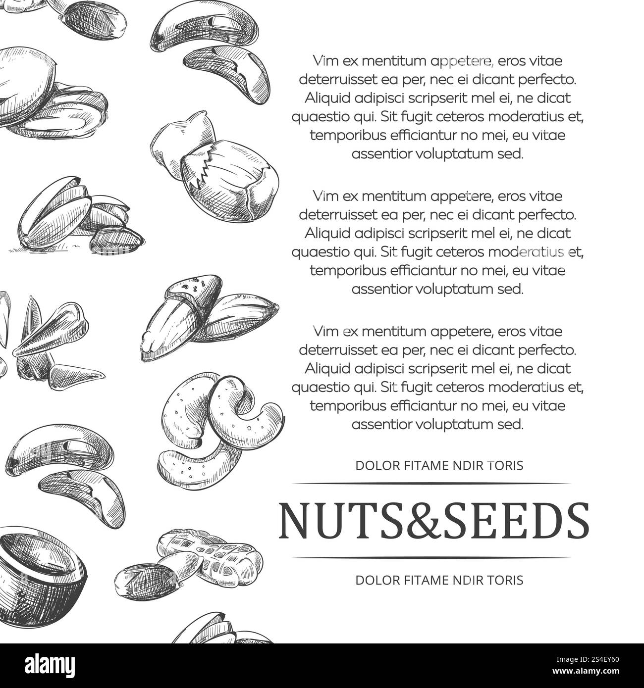 Nuts and seeds banner or poster. Cover with hand sketched nut and seed ...