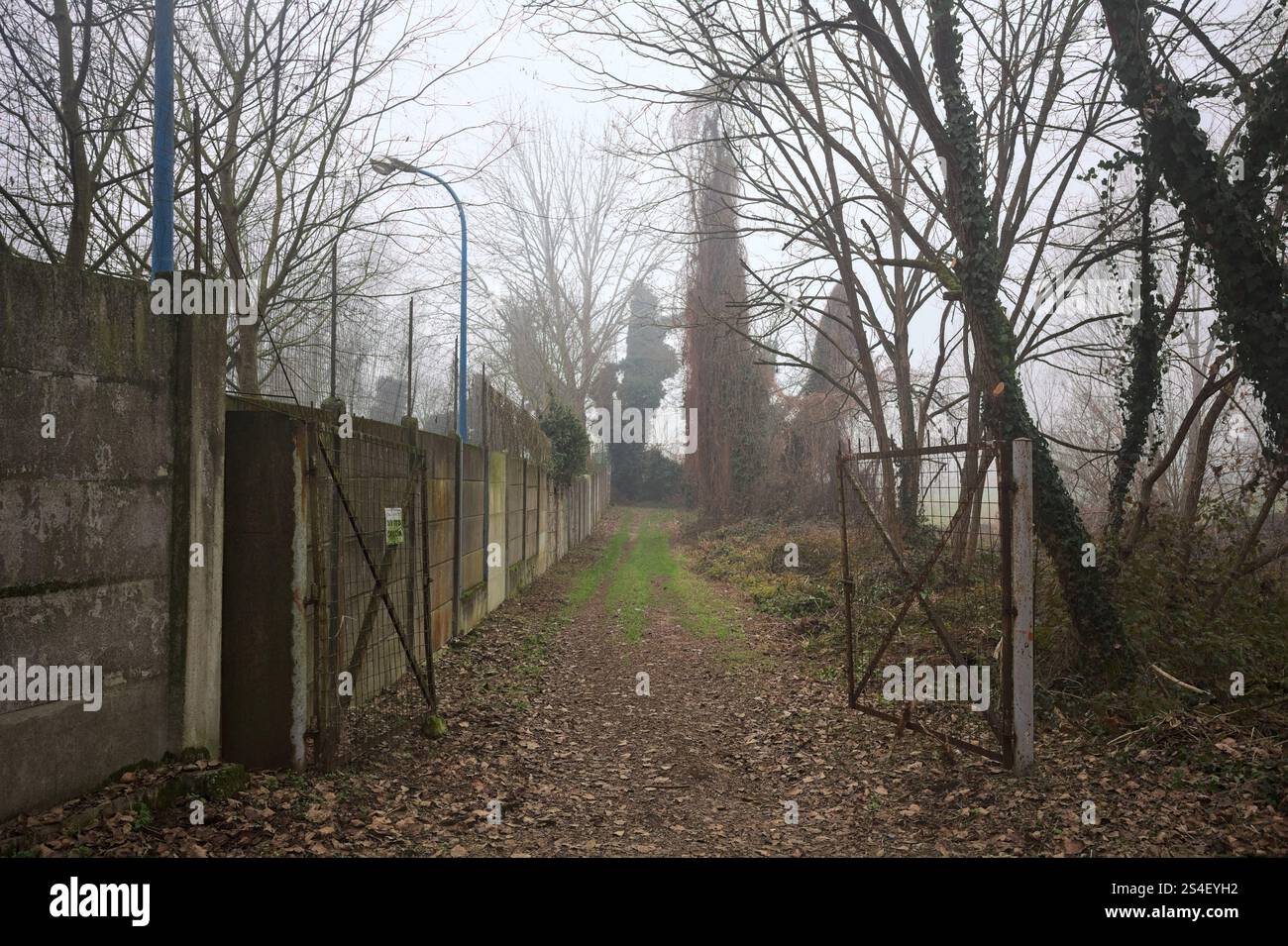 Path covered with fallen leaves next to a concrete fence and on open ...