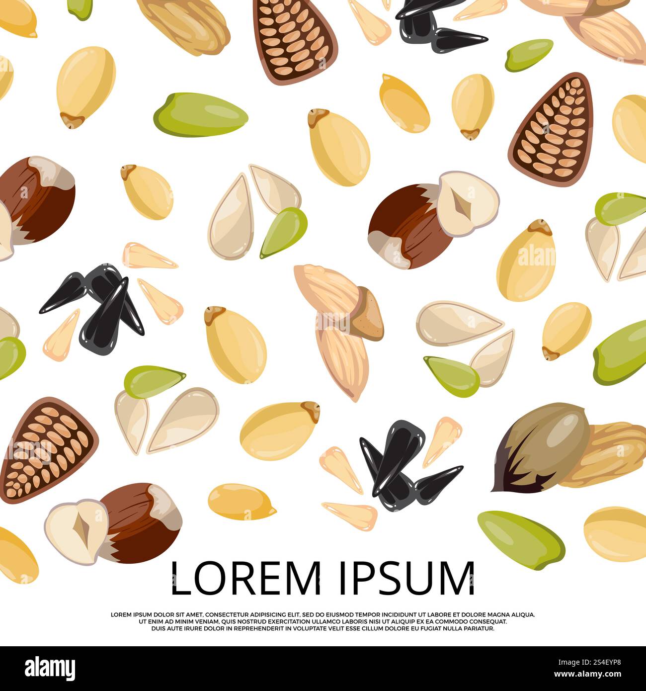 Falling nuts and seeds on white background design. Vector illustration ...