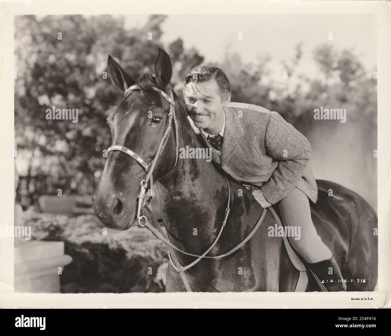 Gone With The Wind MGM 1939 Clark Gable, Vivian Leigh, Leslie Howard ...