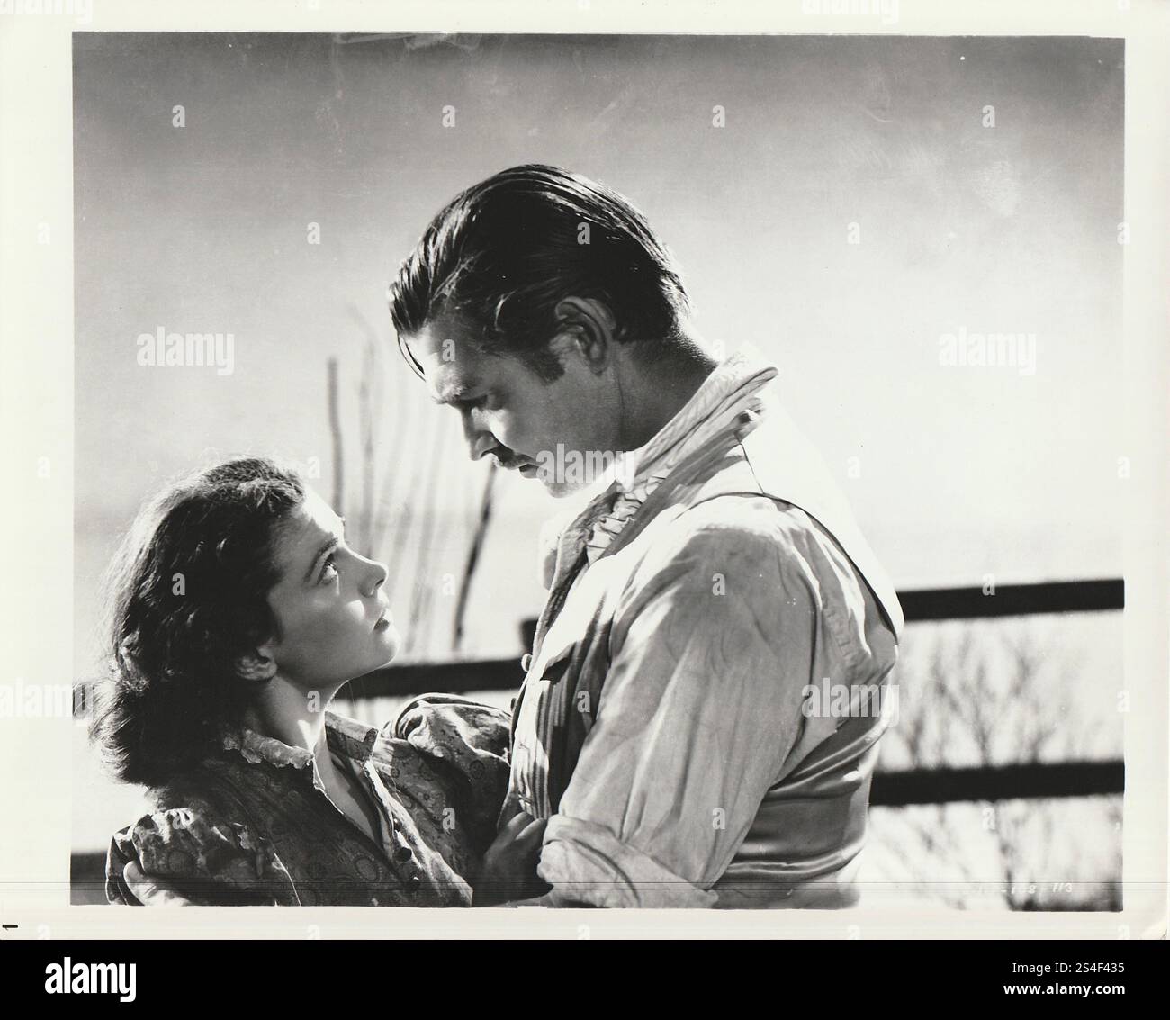 Gone With The Wind MGM 1939 Clark Gable, Vivian Leigh, Leslie Howard ...