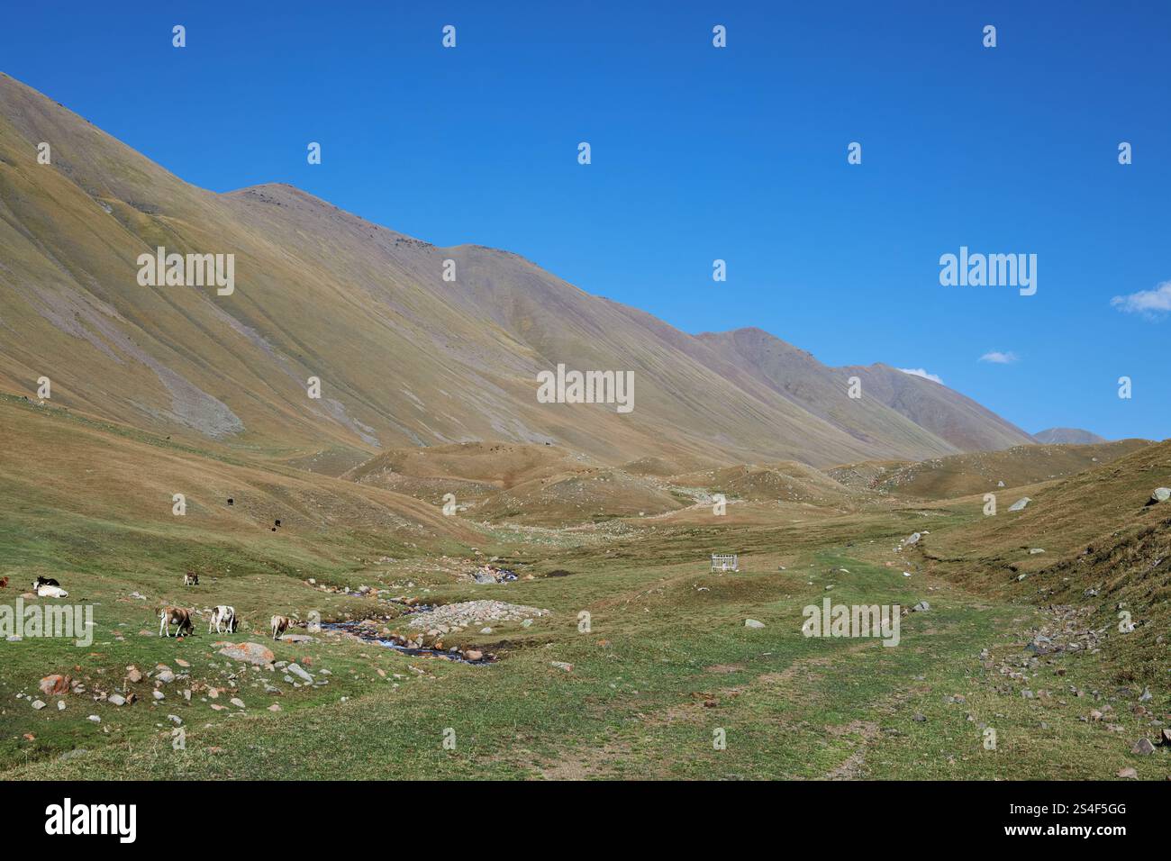 The expansive mountain landscape is a stunning sight featuring lush ...