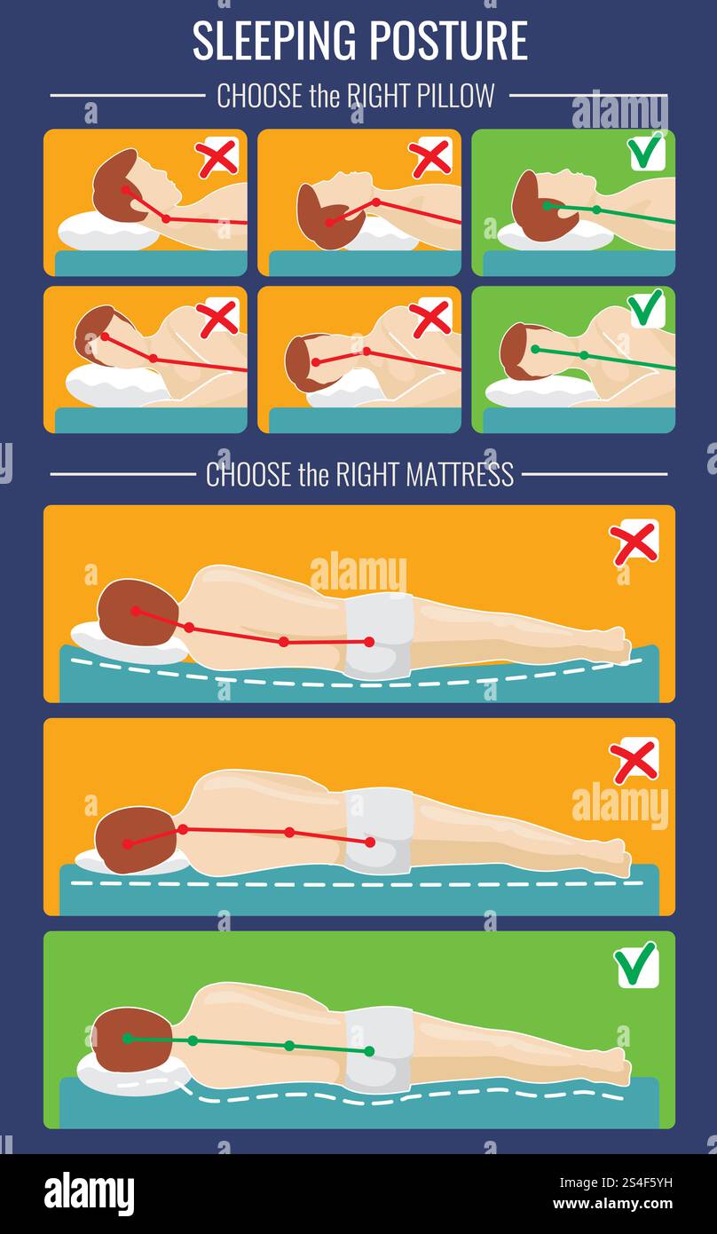 Correct body position during sleep. Ergonomic mattress and pillow for ...