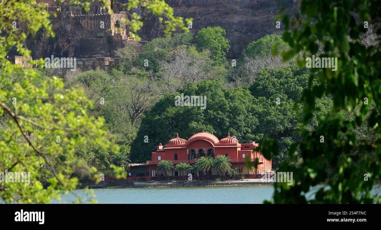 The magnificent abandoned Royal Palace in Ranthambore National Park ...