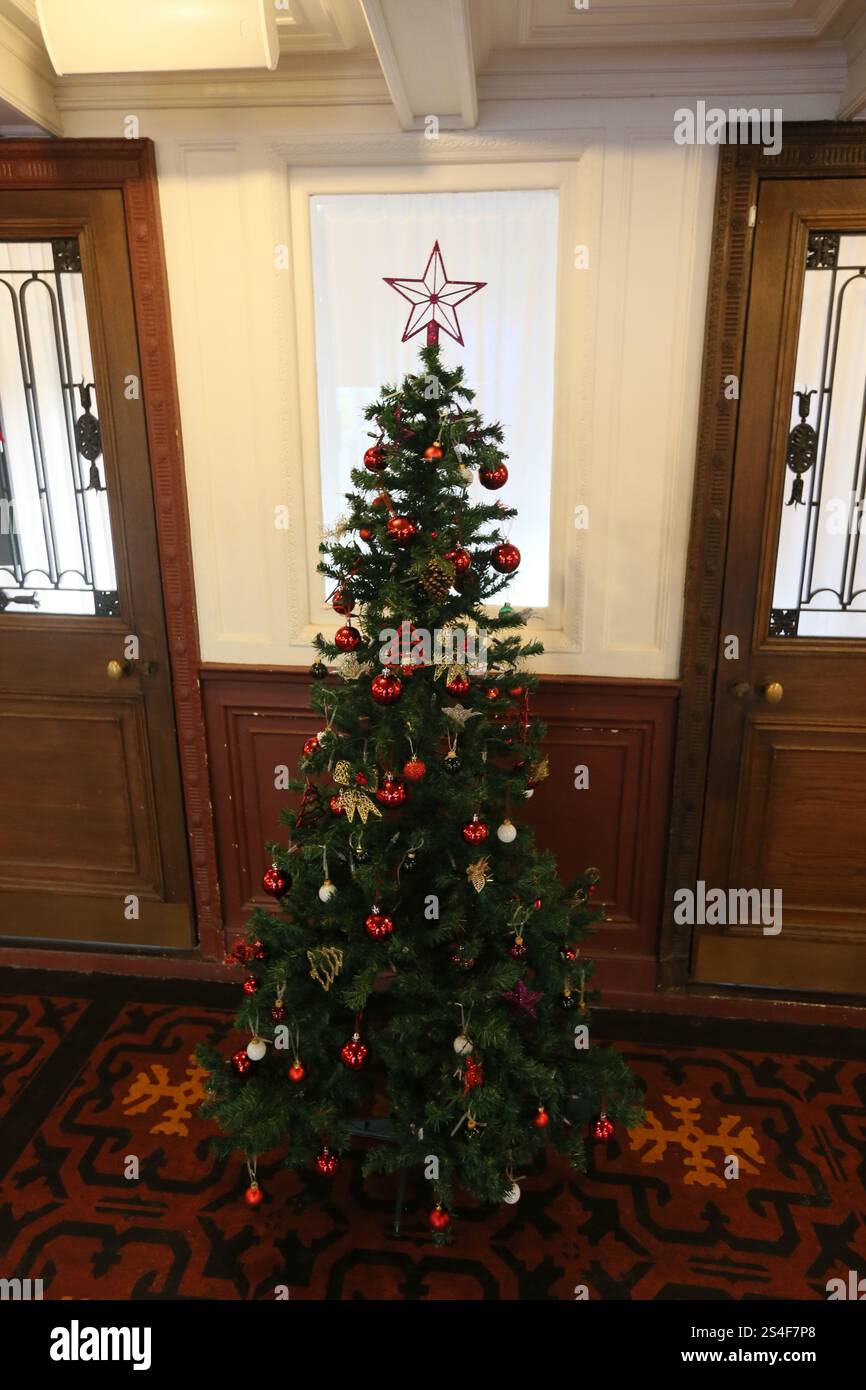 Belfast, Northern Ireland - December 22nd 2024 - A Christmas tree on ...