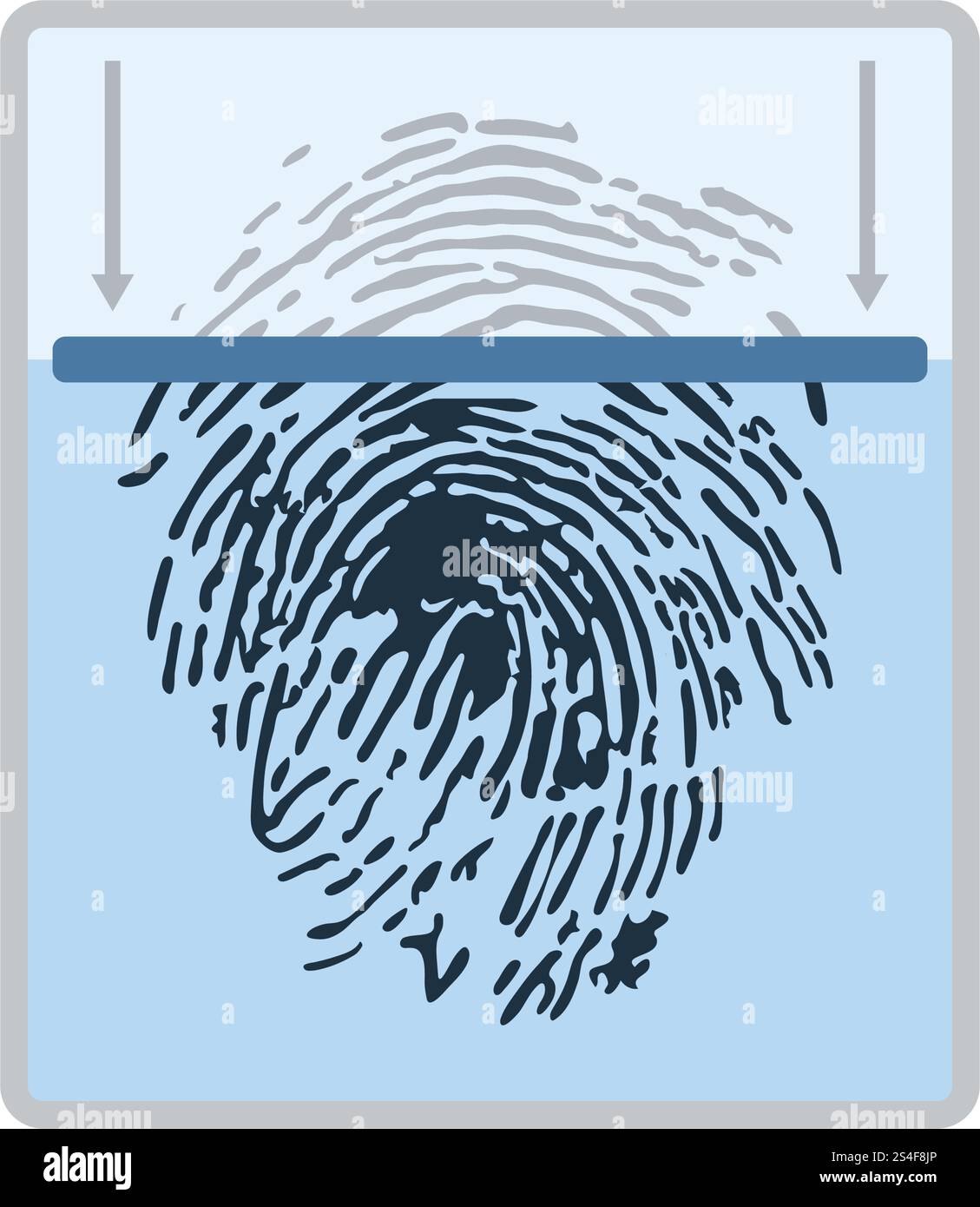 Fingerprint scan icon. Flat color design. Vector illustration Stock ...